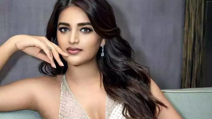 Nidhi Agarwal Age, Biography, Husband, Movies, Net Worth and More Info 2025 - Bio Talkies
