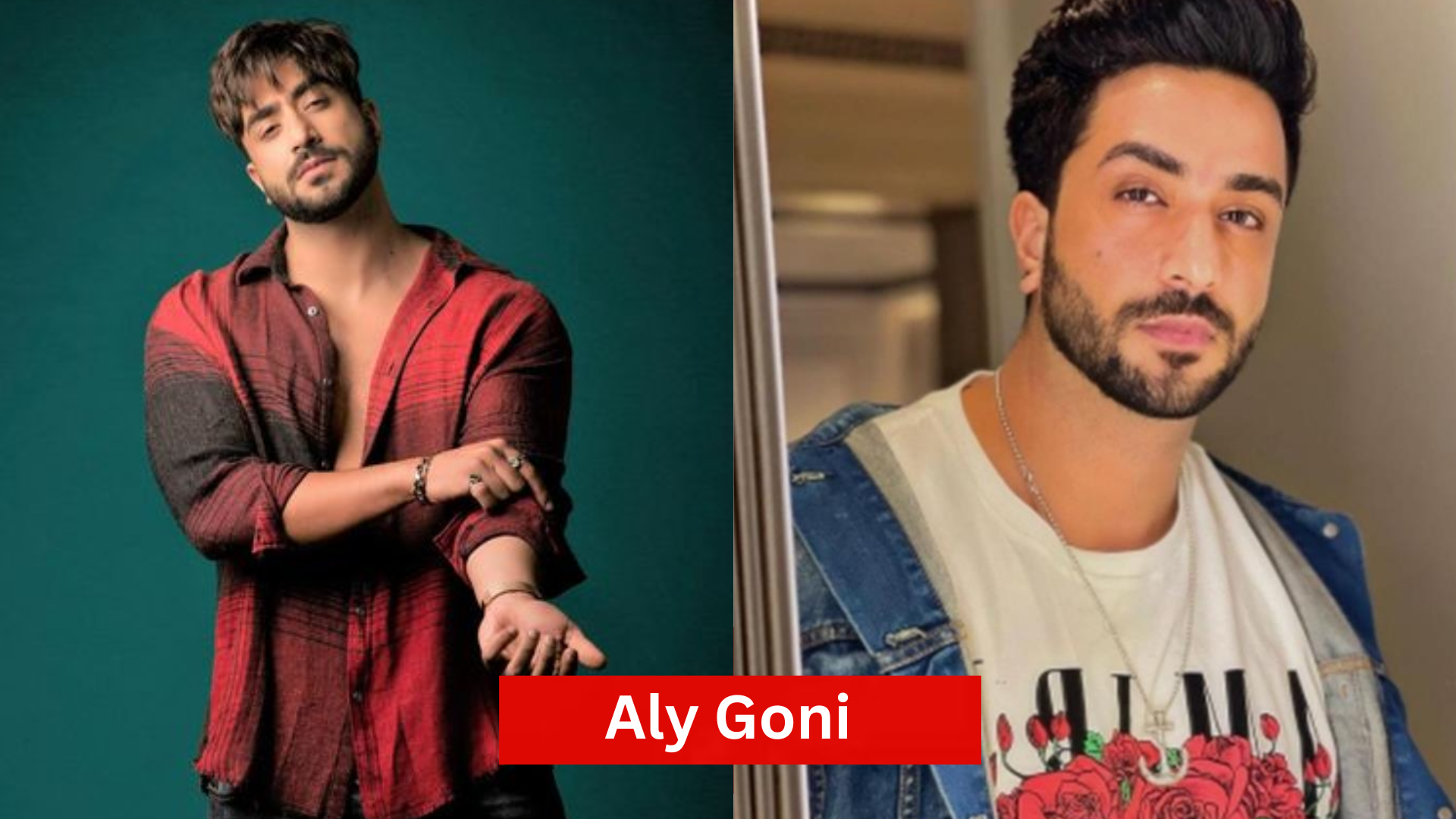 Aly Goni Age, Biography, Wife, Family, Movies, Net Worth and More 2025 ...