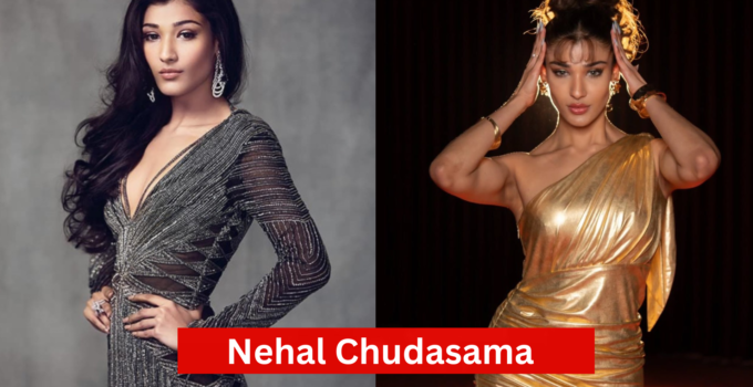 Nehal Chudasama Age, Biography, Husband, Movies, Net Worth and More ...