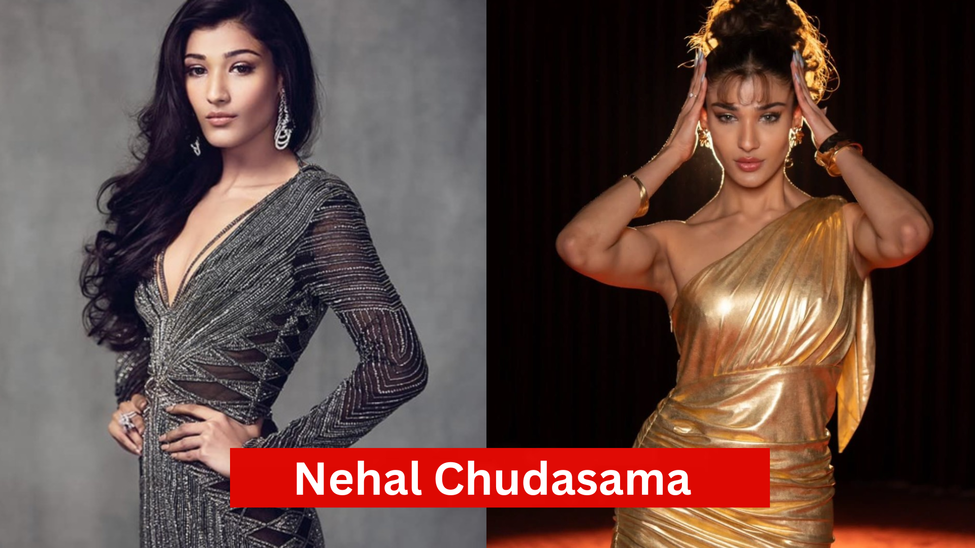 Nehal Chudasama Age, Biography, Husband, Movies, Net Worth and More ...
