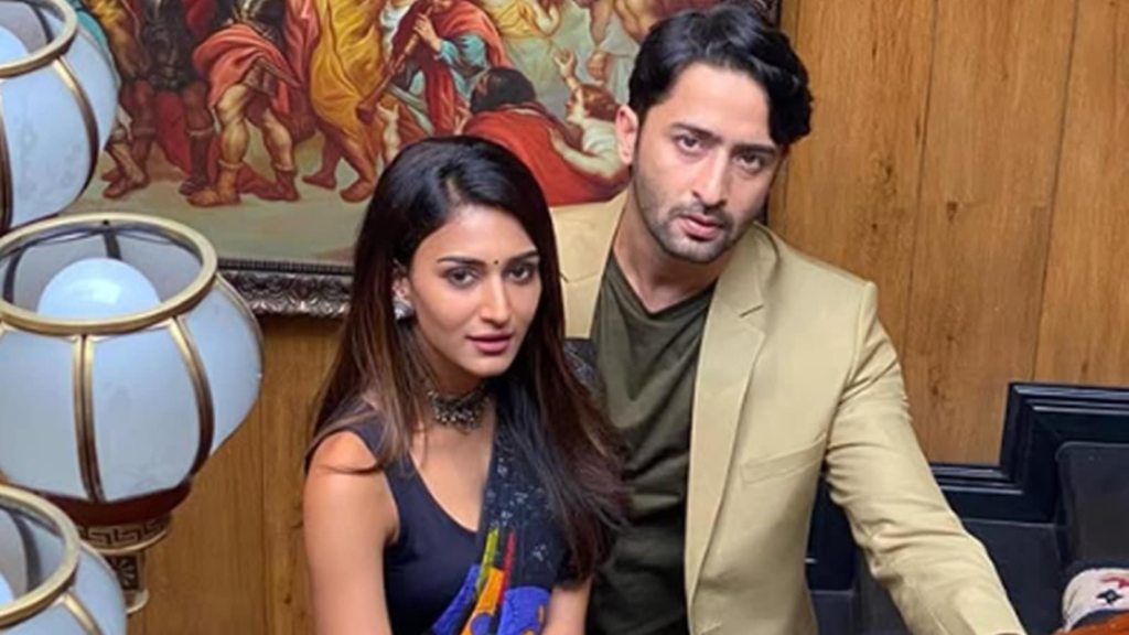 Erica Fernandes Husband, Age, Biography, Shows, Movies, Net Worth and ...